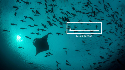 Palau Pledge